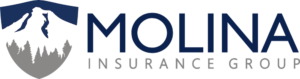 Homepage - Molina Insurance - Hillsboro - Insurance for Auto ...