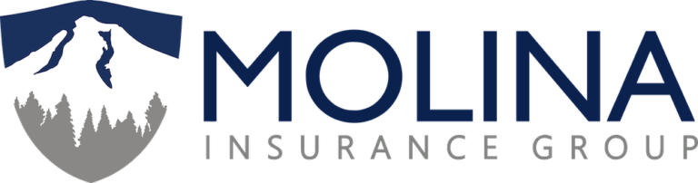 Homepage - Molina Insurance - Hillsboro - Insurance for Auto ...